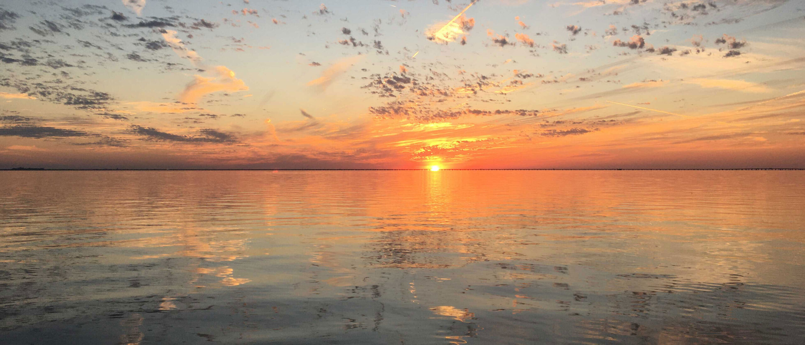 Captain Morgan Sailing Charters Daily Cruises 8 am, 2 pm, 4 pm